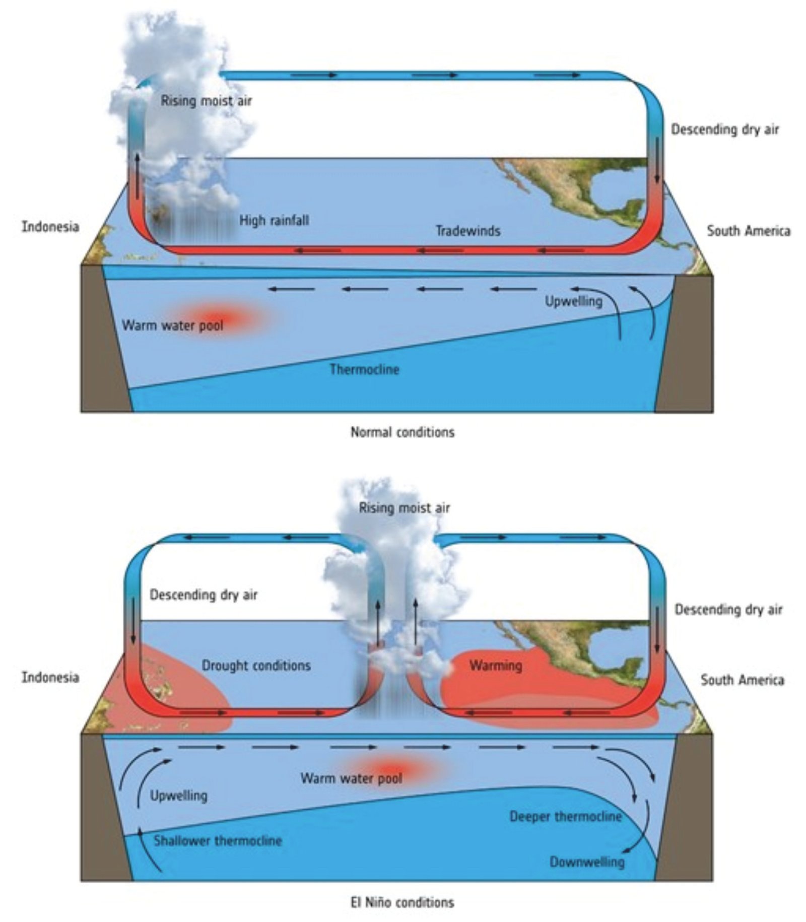 EI Nino-La Nina | Current Affairs Editorial, Notes by VajiraoIAS