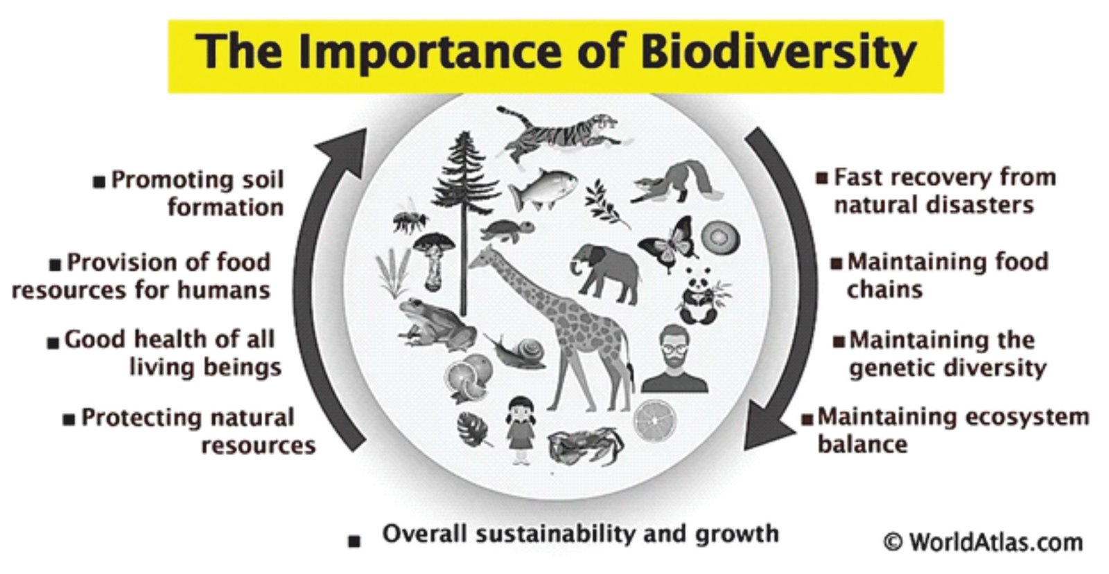 How biodiversity loss jeopardizes human health | Current Affairs ...